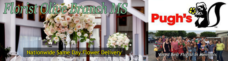 Olive Branch Flower Shop - Florist Olive Branch MS, Pugh's Flowers